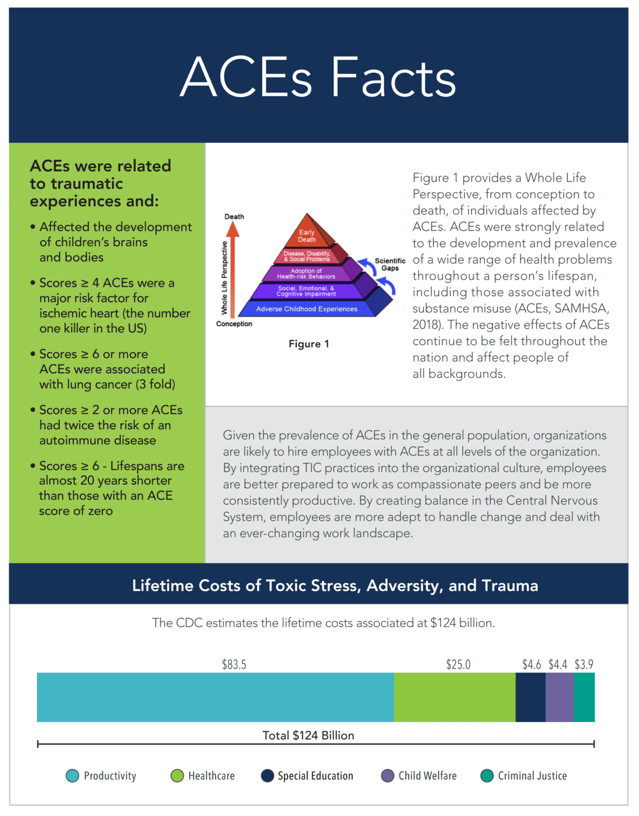 Organizational Certification | Arizona Trauma Institute