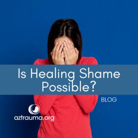 HEALING SHAME | Arizona Trauma Institute